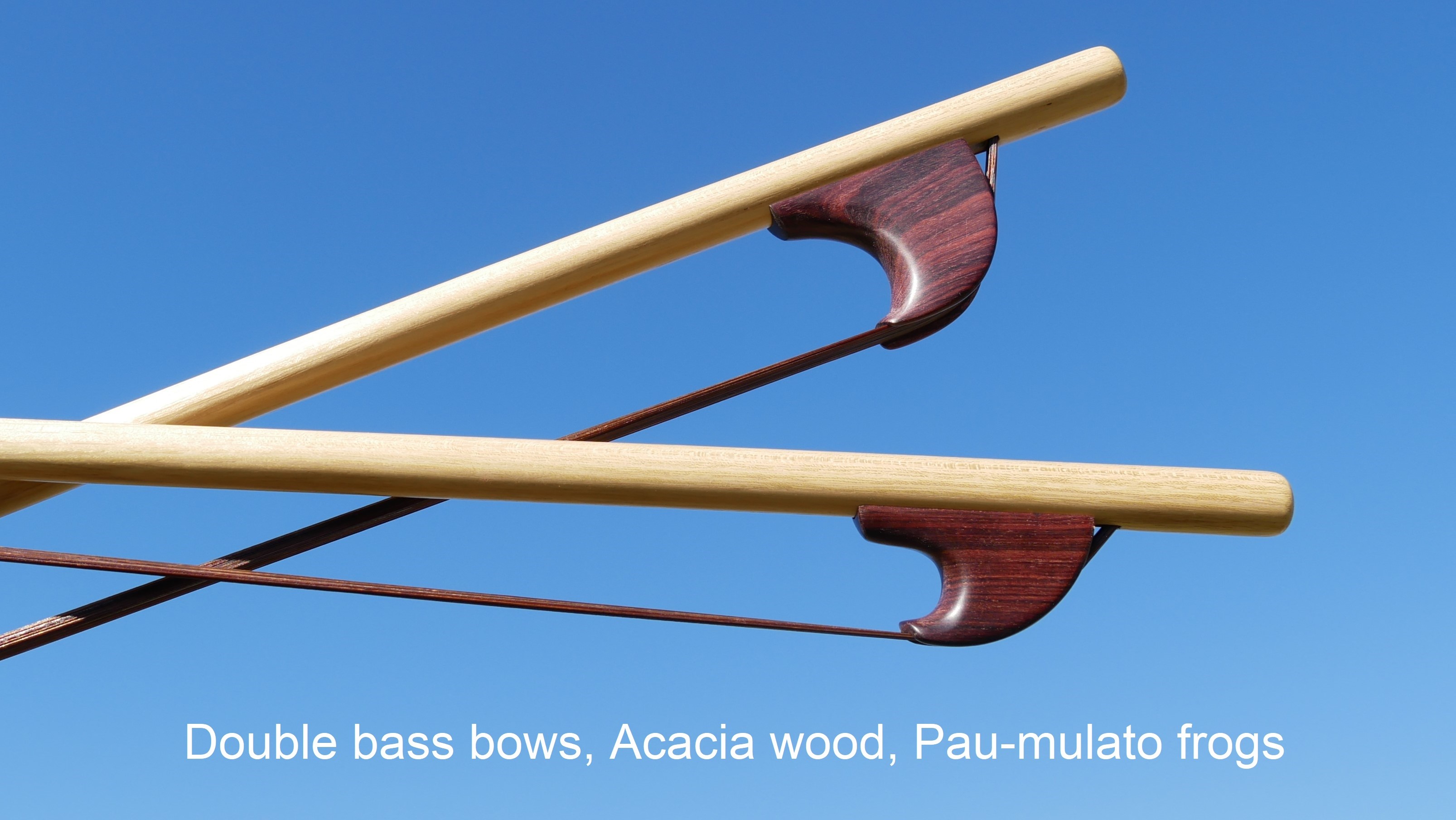 Double bass | Acacia bows